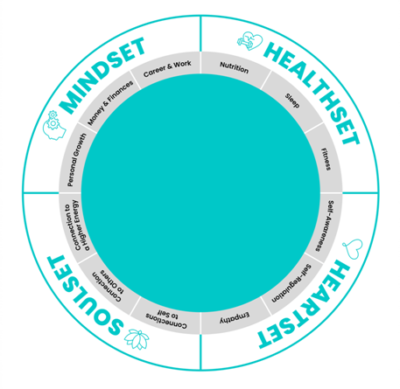 Wellbeing Wheel Assessment - LIVVITY